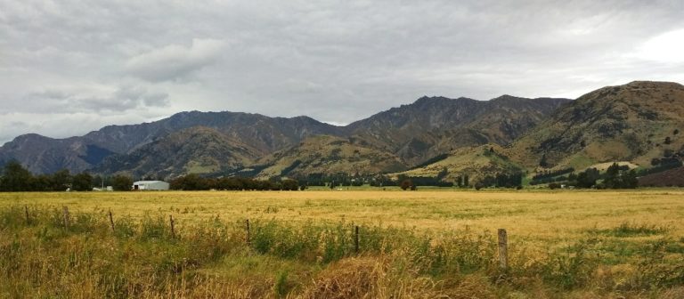 Alexandra – Lake Hawea – Mega-Stoffel // X-tof